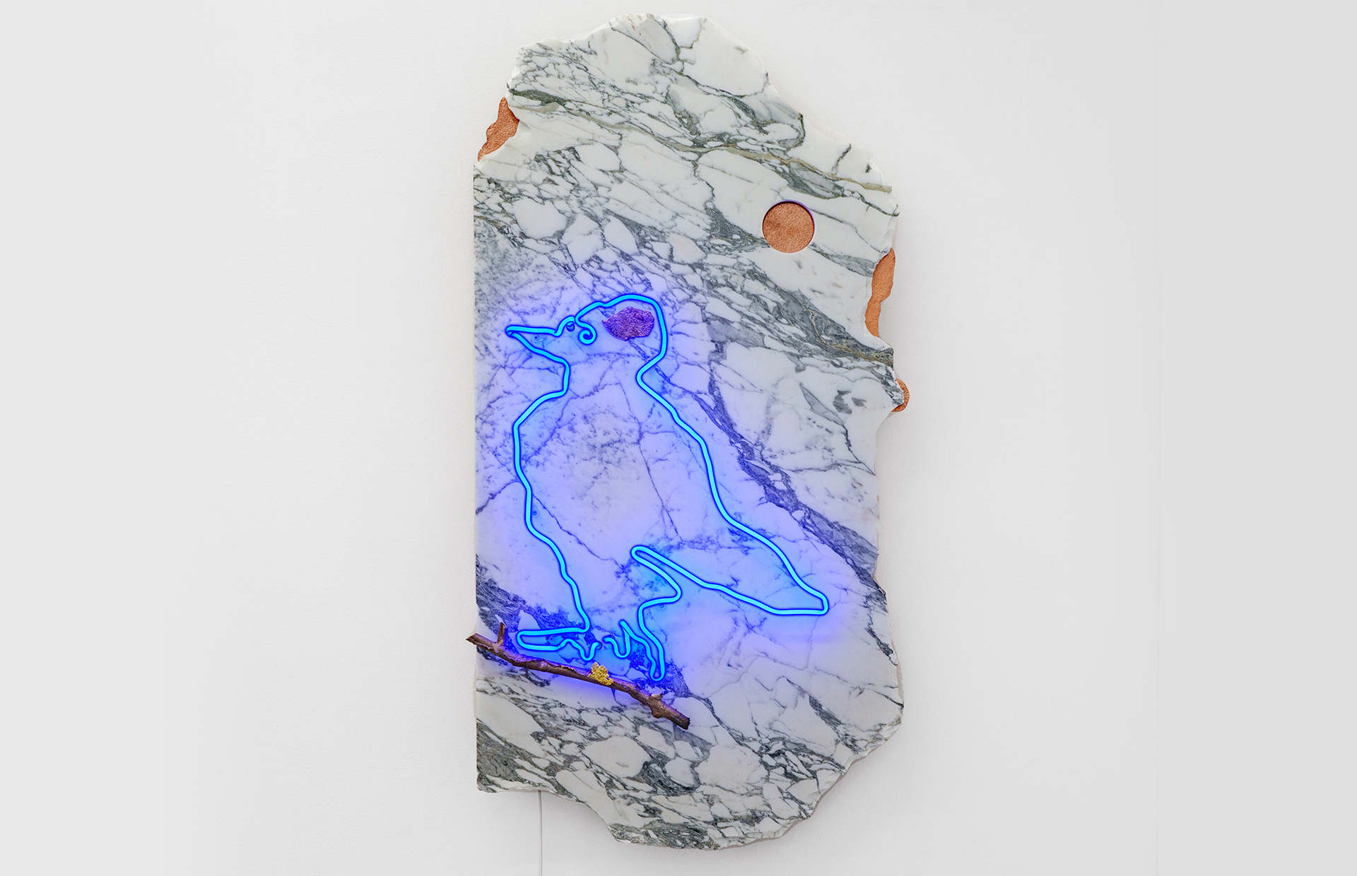 Shows | sarieva.org - SARIEVA